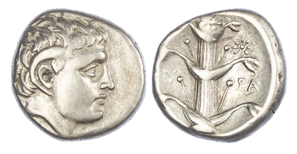 Kyrene, Silver Didrachm | Baldwin's